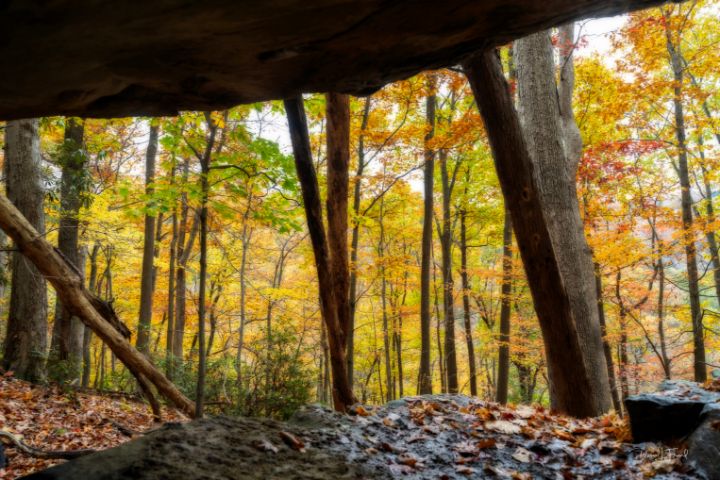 View out from under the rock ledge - DLF Photo - Photography ...