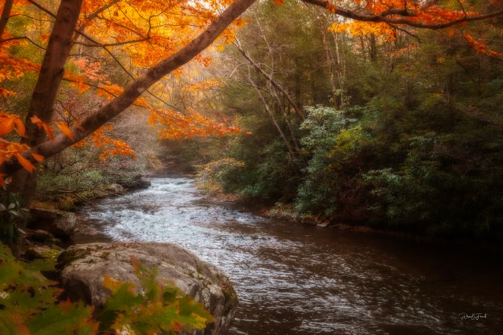 Fall scenes along Bear Creek - DLF Photo - Photography, Landscapes ...