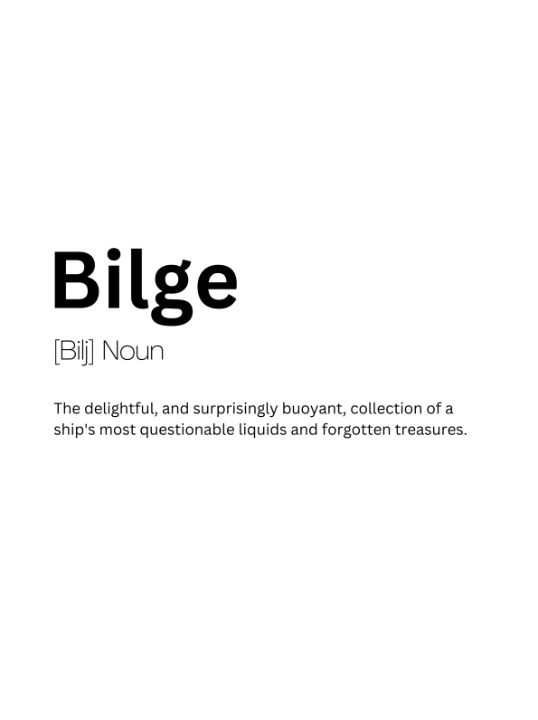 Bilge Dictionary Definition - Dictionary Art - Digital Art & AI, Humor ...
