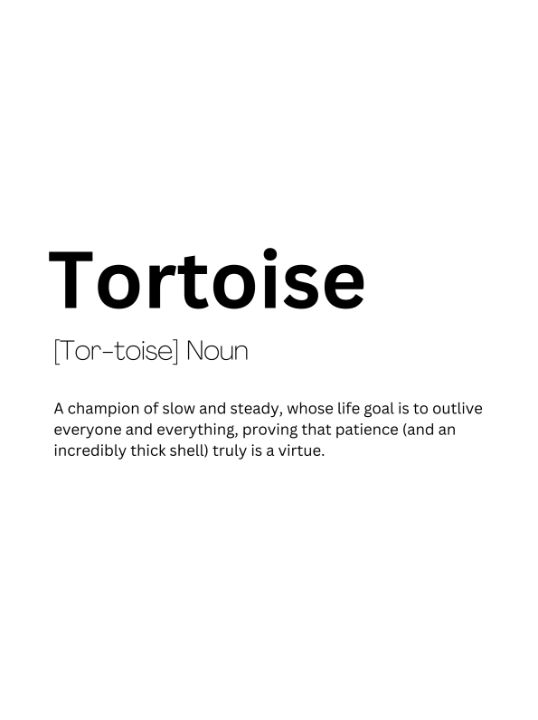 Tortoise Dictionary Definition - Dictionary Art - Digital Art & AI ...