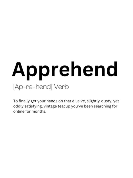 Apprehend Dictionary Definition - Dictionary Art - Digital Art & AI ...
