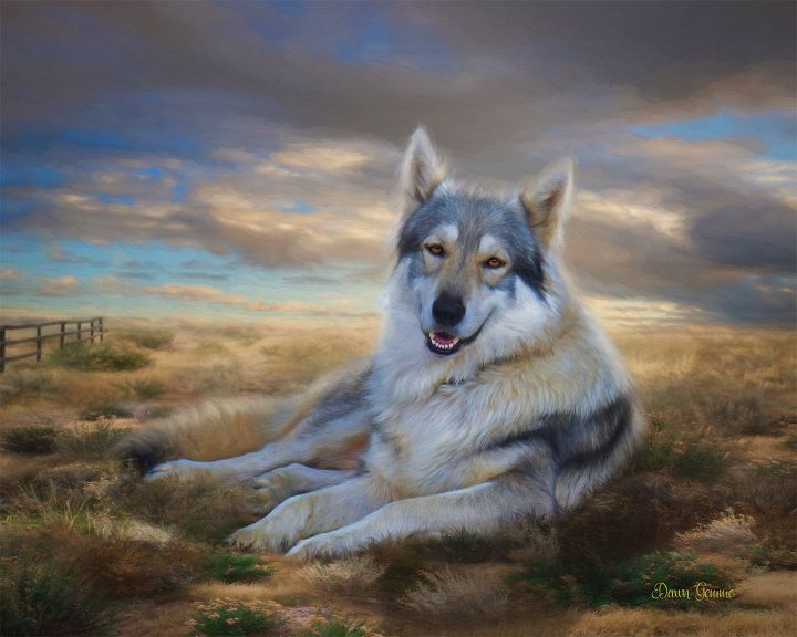 16x20 Desert Wolf Wildlife Painting - Heart and Soul Art - Paintings ...