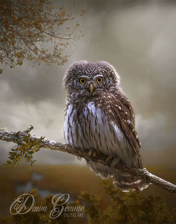 Northern Pygmy Owl Wildlife Painting - Heart and Soul Art - Paintings ...
