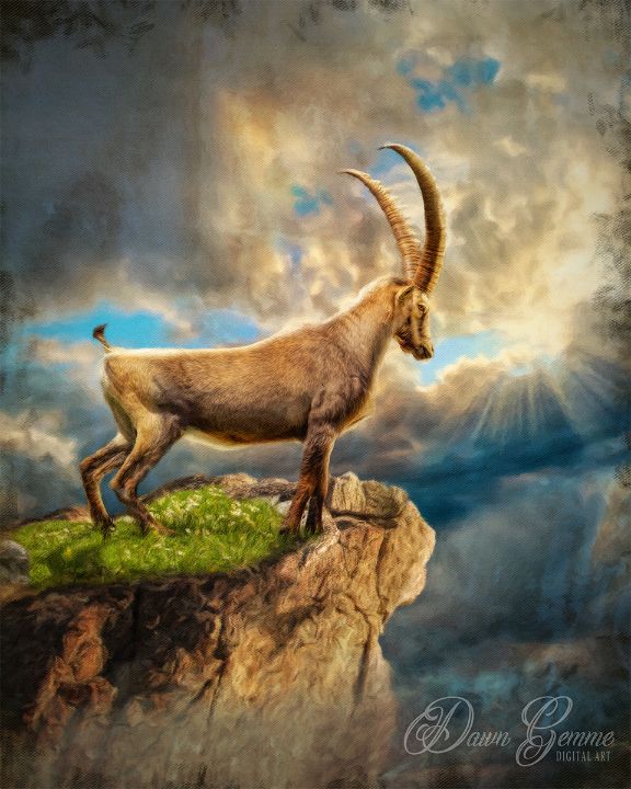 Mountain Goat Wildlife Painting - Heart and Soul Art - Paintings ...