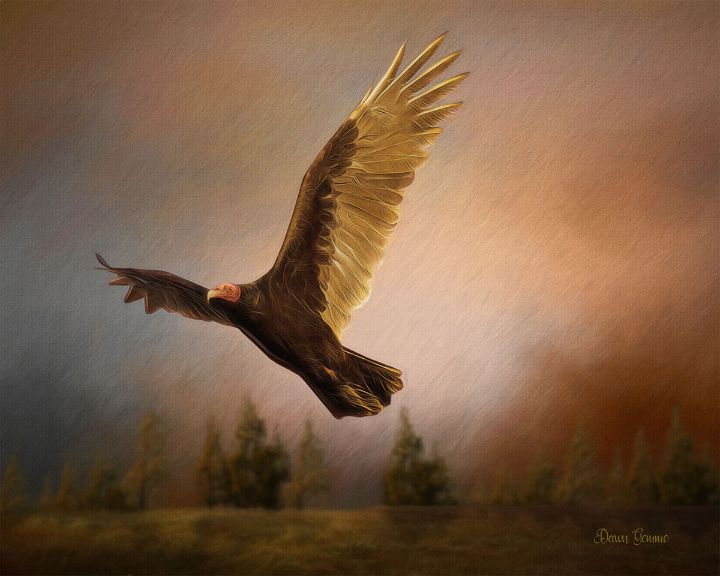 16x20 Turkey Vulture Flight Painting - Heart and Soul Art - Paintings ...