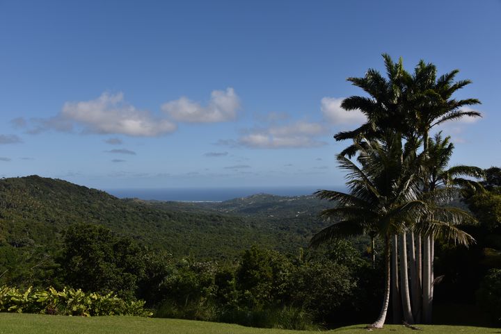 On top of Barbados Island - Aspen Ridge Gallery - Photography, Places ...