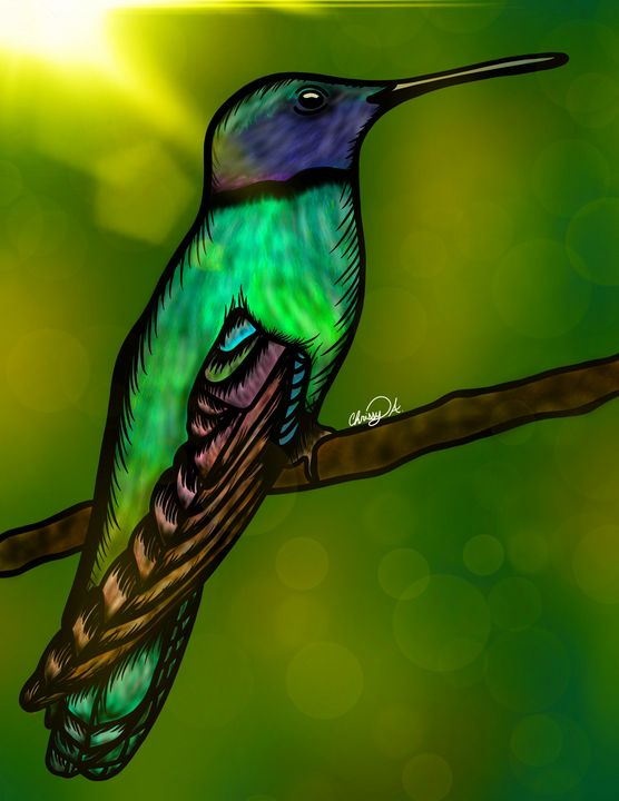 Colorful Bird Digital Art - Digital Art by Chrissy Adam - Digital Art ...