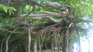 Shelly Breeden - Photography, Paintings & Prints
