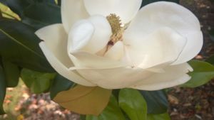 Shelly Breeden - Photography, Paintings & Prints