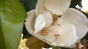 Shelly Breeden - Photography, Paintings & Prints