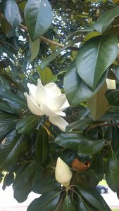 Shelly Breeden - Photography, Paintings & Prints