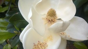 Shelly Breeden - Photography, Paintings & Prints