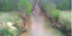 Shelly Breeden - Photography, Paintings & Prints