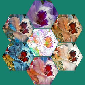 Shelly Breeden - Photography, Paintings & Prints