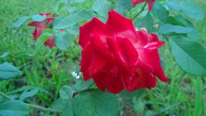 Shelly Breeden - Photography, Paintings & Prints
