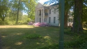 Shelly Breeden - Photography, Paintings & Prints