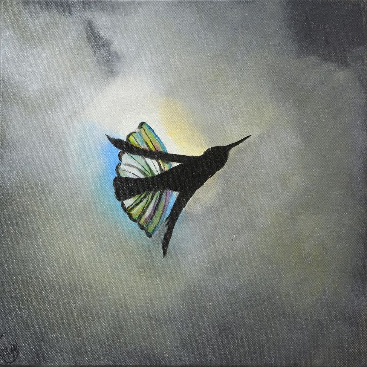 Hummingbird Gliding - Undiscovered - Paintings & Prints, Animals, Birds ...