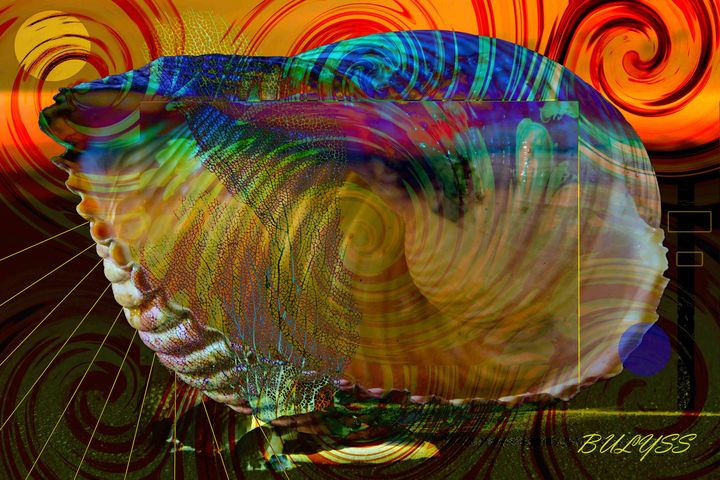 Trippy Sea Life Psychedelic Sea Life In Space By Drkillp8ient On