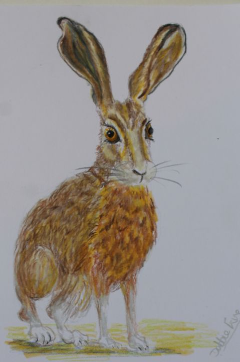 June Hare - Debbie Pain, Spellbound Art & Sculptures - Drawings ...