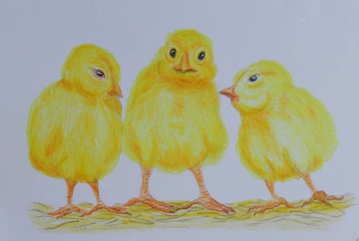 A Trio of Chicks - Debbie Pain, Spellbound Art & Sculptures - Drawings ...
