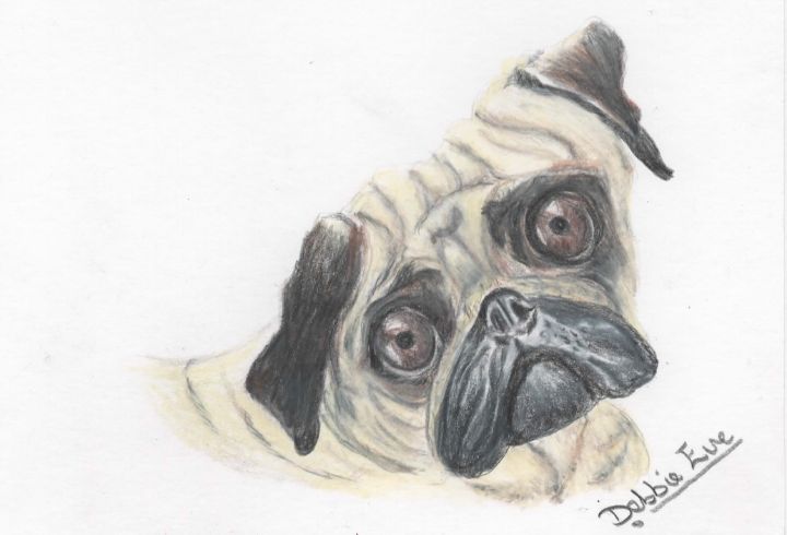 Mr Pug - Debbie Pain, Spellbound Art & Sculptures - Drawings ...