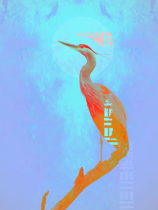 Striking a Pose - Robert Ball Fine Art & Photography - Photography ...