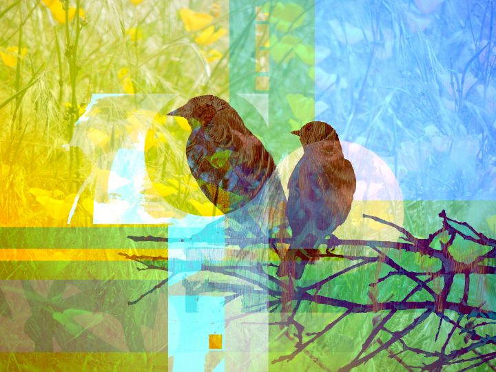 Spring Sunrise - Robert Ball Fine Art & Photography - Photography ...