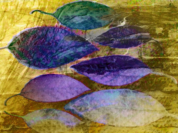 Circle of Leaves - Robert Ball Fine Art & Photography - Photography ...