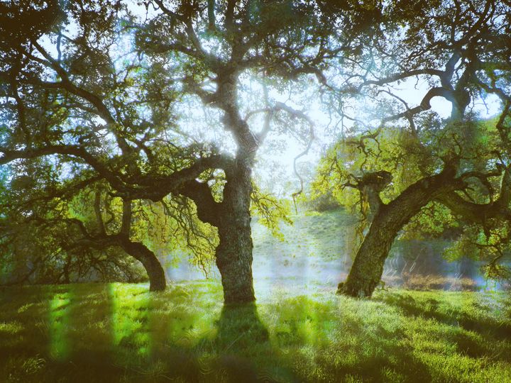 Filled with Light - Robert Ball Fine Art & Photography - Photography ...