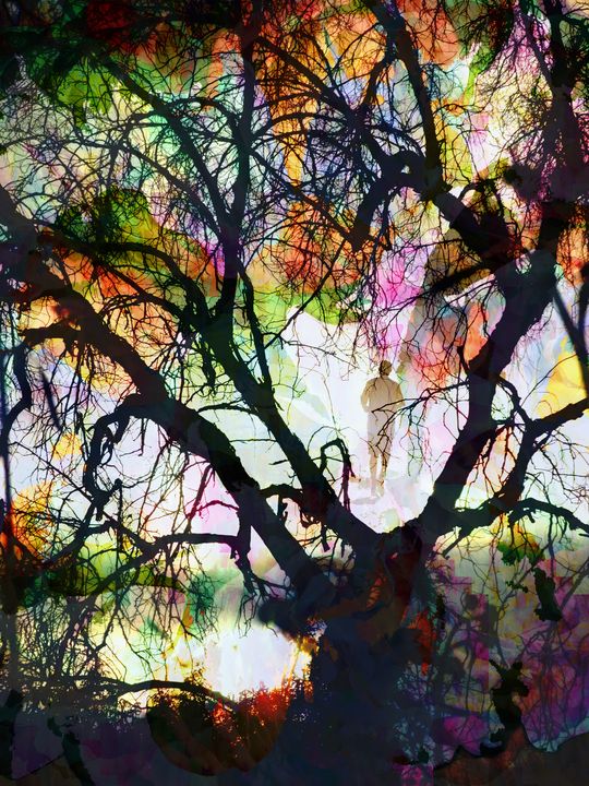 Day Dreaming - Robert Ball Fine Art & Photography - Photography ...