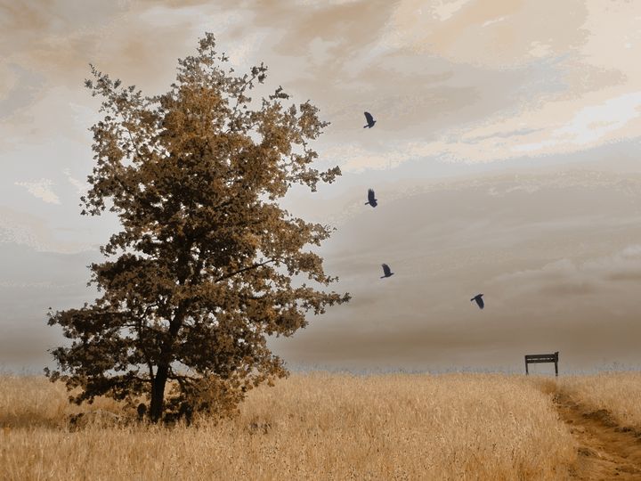 Autumn Day - Robert Ball Fine Art & Photography - Photography ...