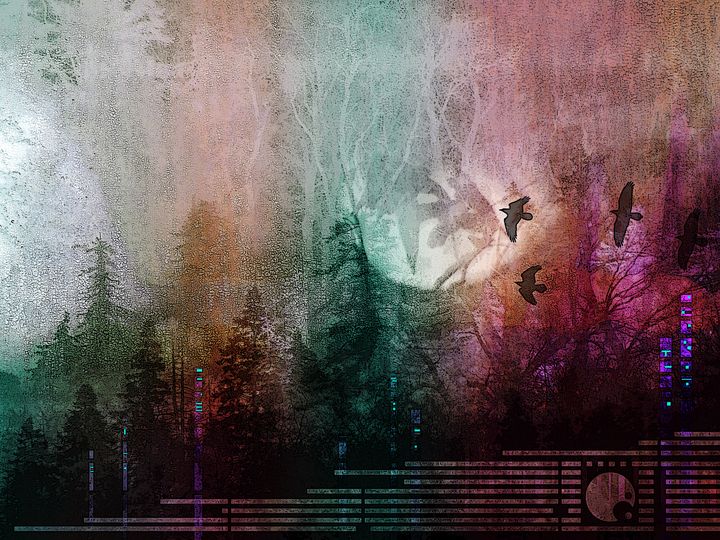 Nature Calling - Robert Ball Fine Art & Photography - Photography ...