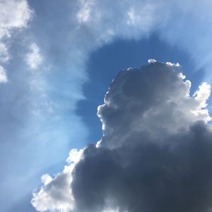 ANADEROL LMB - Photography