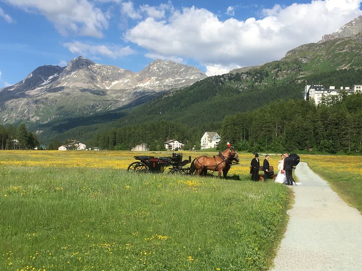 Elsa&Elas - ANADEROL LMB - Photography, Animals, Birds, & Fish, Horses ...