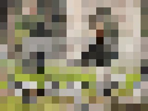 KRIS - ANADEROL LMB - Photography, Places & Travel, Europe, Italy - ArtPal