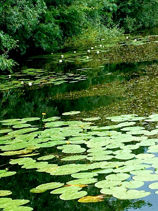 Monet Natur - ANADEROL LMB - Photography, Places & Travel, Europe ...