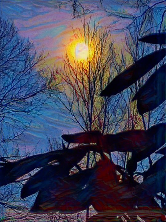 December Moon - Art Photos 61 - Photography, Landscapes & Nature ...