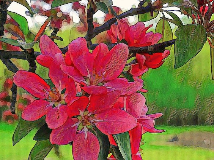 Ruby Blossoms - Art Photos 61 - Photography, Flowers, Plants, & Trees ...