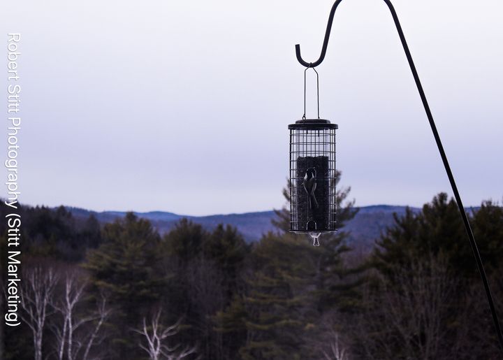 Robert Stitt Photography Gallery - Photography