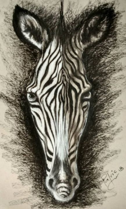 Zebra head - Midweekart_antique - Drawings & Illustration, Animals ...