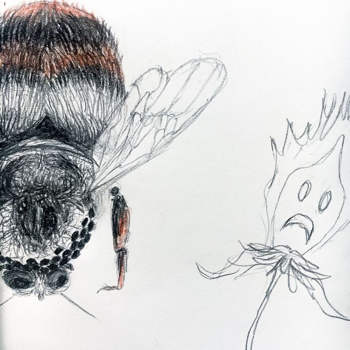 Alice The Alchemist - Paintings & Prints, Animals, Birds, & Fish, Bugs ...