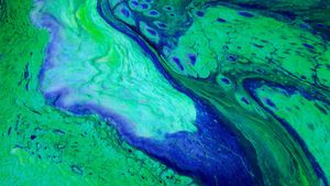 Big Spork Art - Paintings & Prints