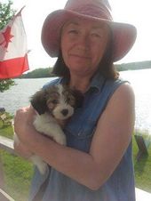 Helen Pye Art - Paintings & Prints