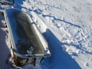 Ice Bath - The Print Register - Photography, Places & Travel, Europe ...