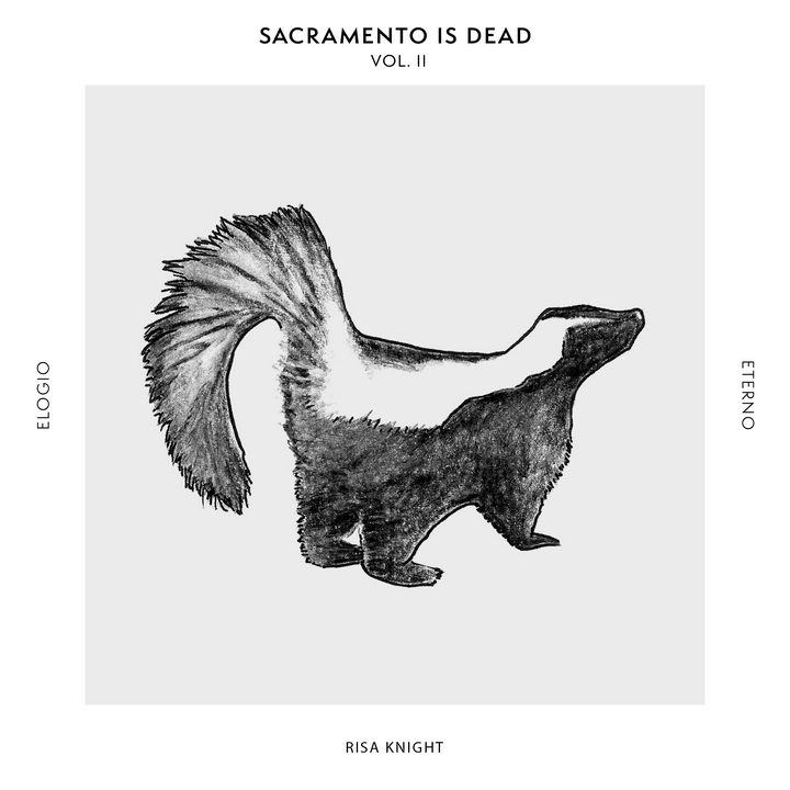 SKUNK III - Risa Knight Designs - Drawings & Illustration, Animals ...