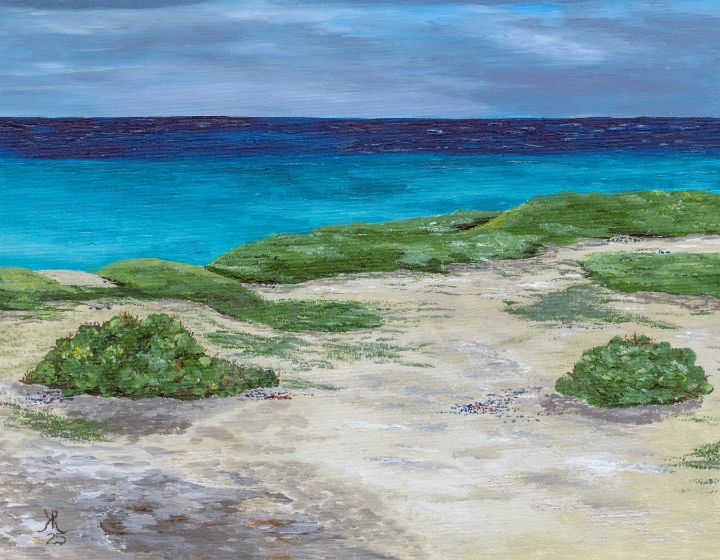 Boca Grandi, Aruba - K. Ruff - Paintings & Prints, Landscapes & Nature ...