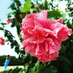 Roberto Silva - Photography