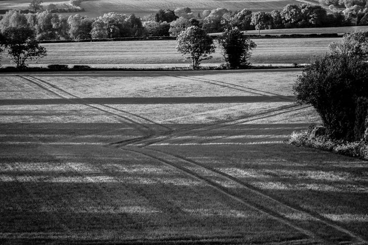 Crop field in black & white - travelling journalist - Photography ...