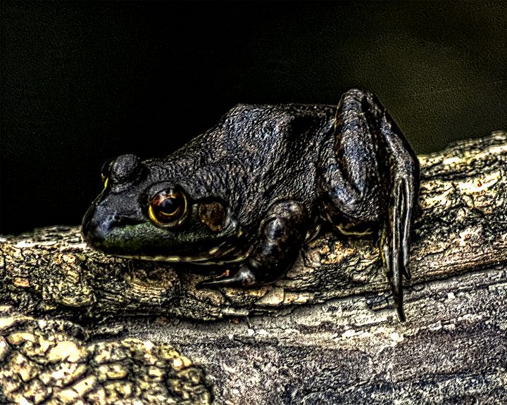 Little One - Staeble Studio A - Photography, Landscapes & Nature, Lakes ...