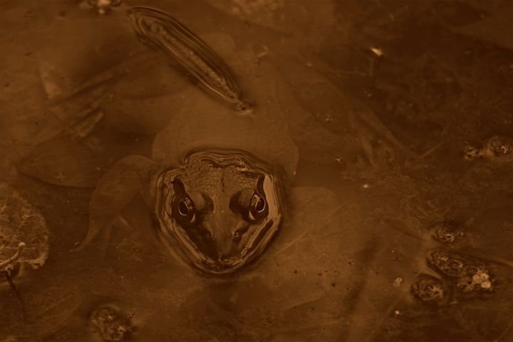 What About Now - Staeble Studio A - Photography, Landscapes & Nature ...